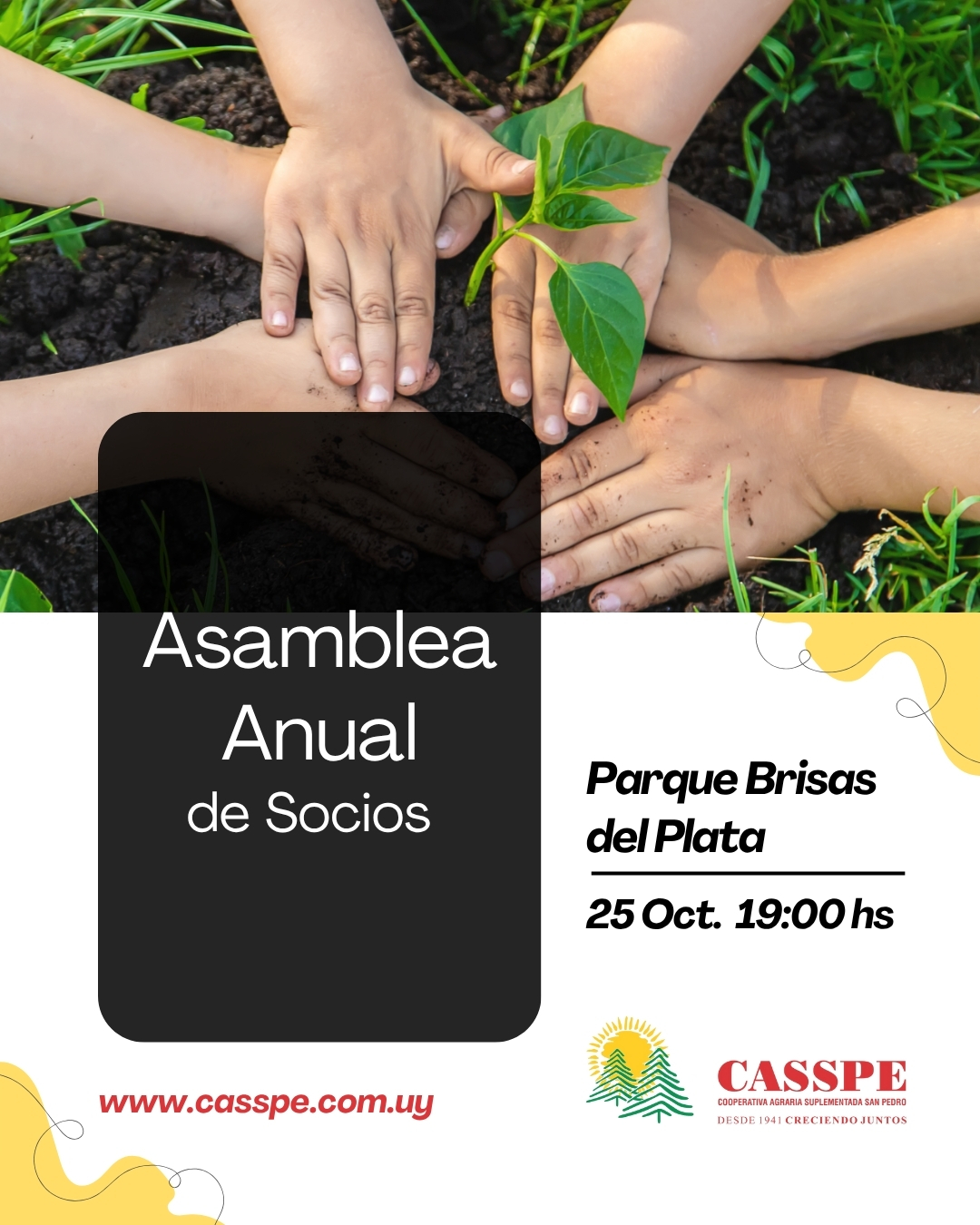 Convocatoria a la Asamblea Anual de Socios de CASSPE - CASSPE ...